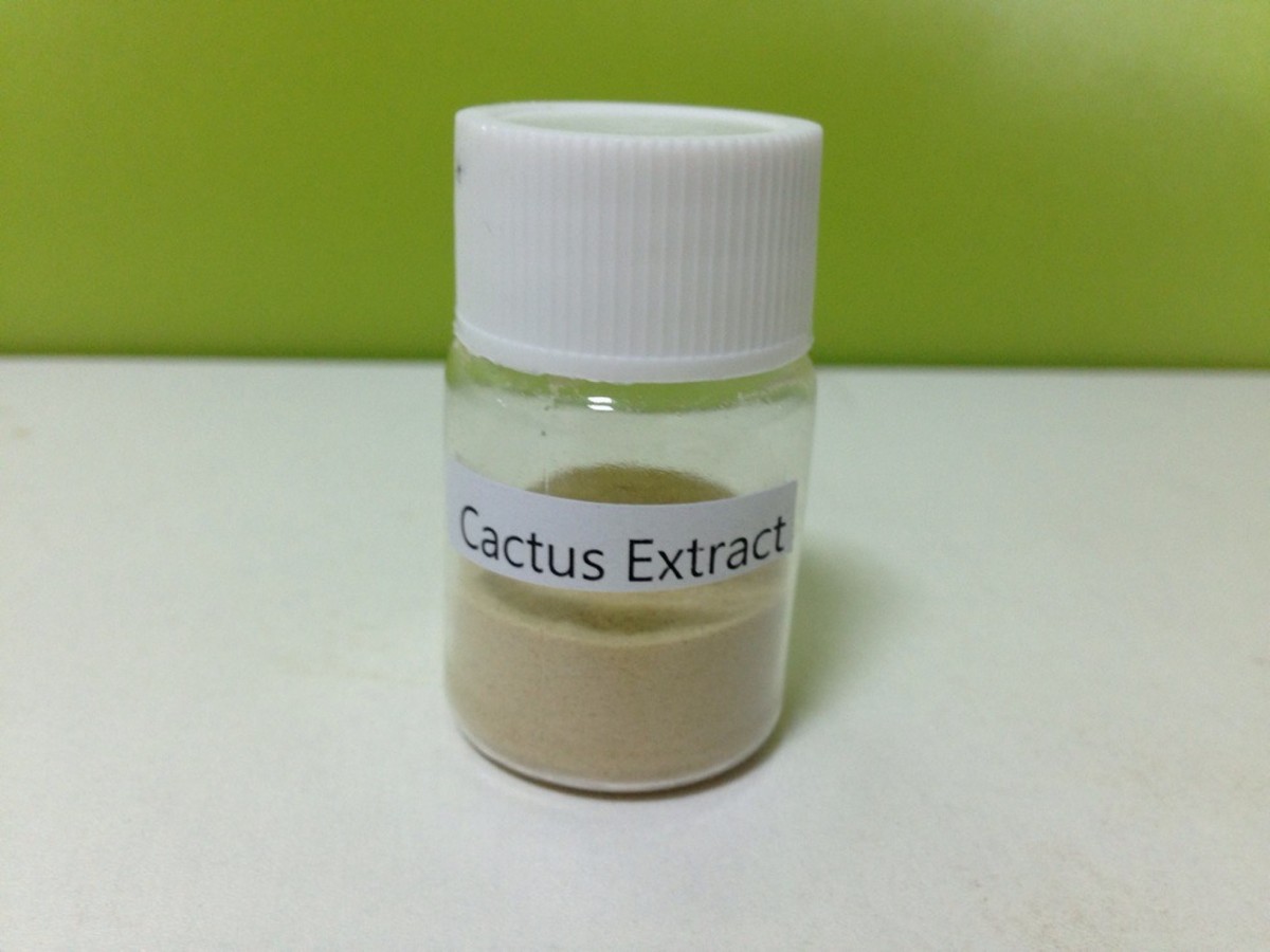 Powdered cactus – OBLOG